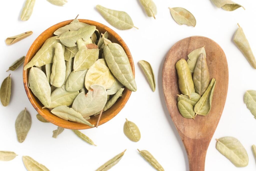 Boldo Tea: Benefits, Side Effects, and How to Prepare