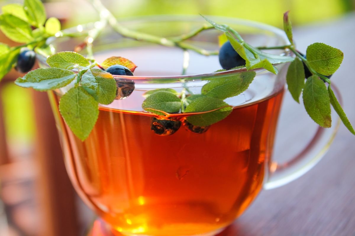 Blueberry Tea Benefits: Antioxidants for your Well-Being