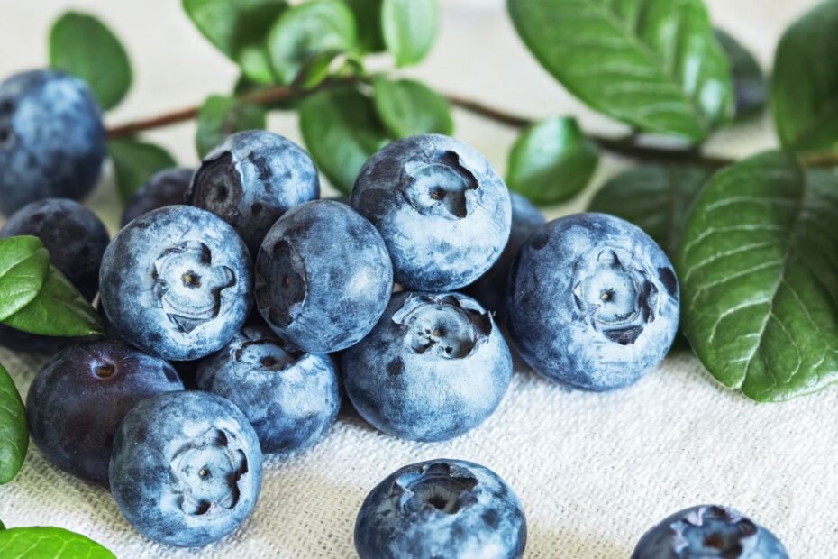 Blueberry Tea Benefits: Antioxidants for your Well-Being