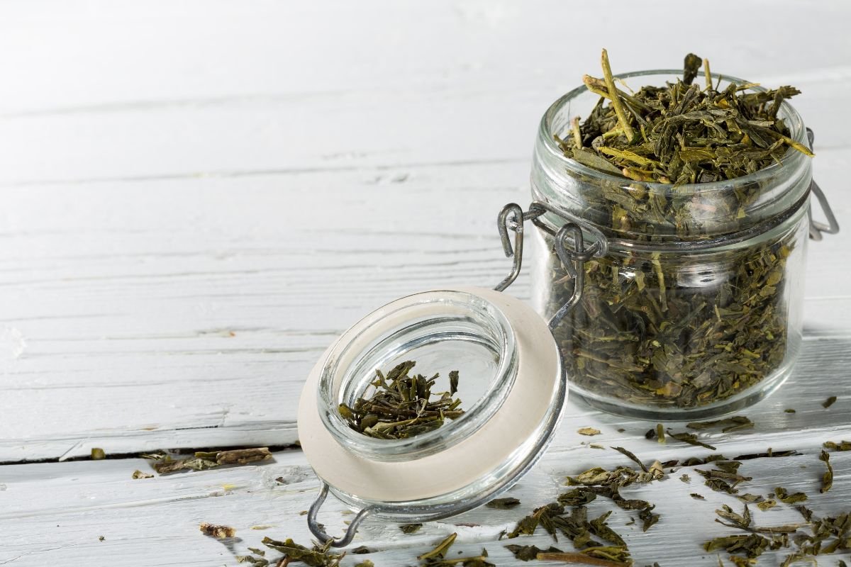 7 Sencha Tea Benefits for a Healthy Mind and Body - TeaBenefit.com