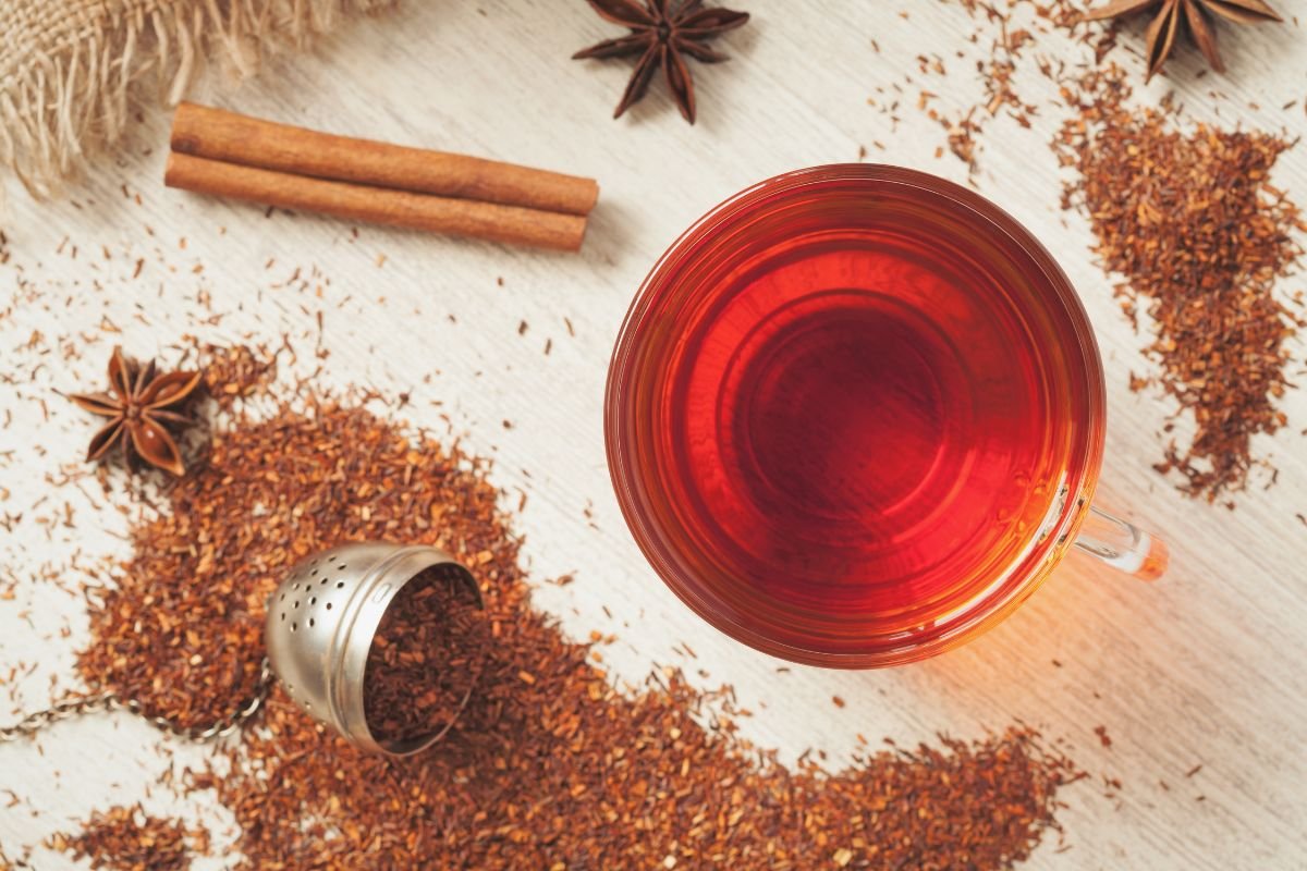 Rooibos Tea Benefits: Reasons Red Tea Should Steam in A Cup