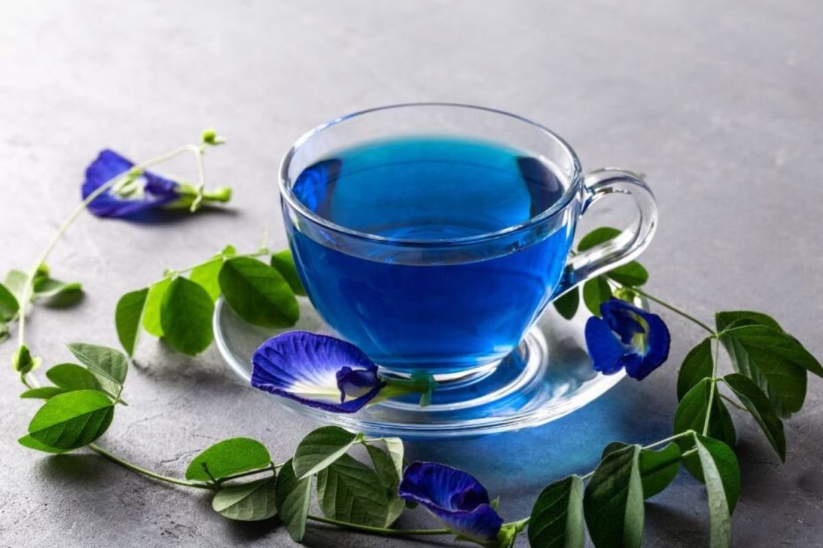 Surprising Butterfly Pea Tea Benefits & Its Blue Tea Color